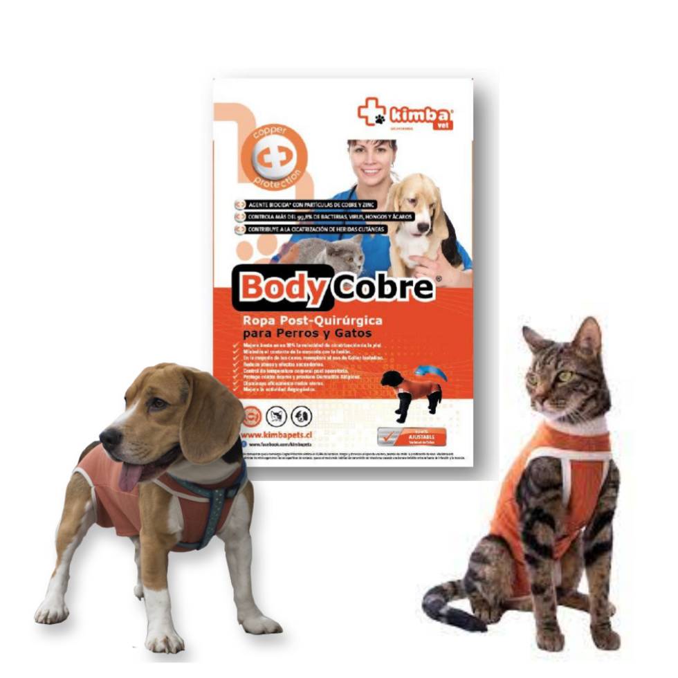 Body de Cobre Tradicional - PetStop – Tienda Online