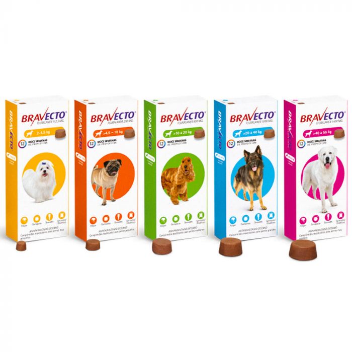 Bravecto Dog 3M - PetStop – Tienda Online