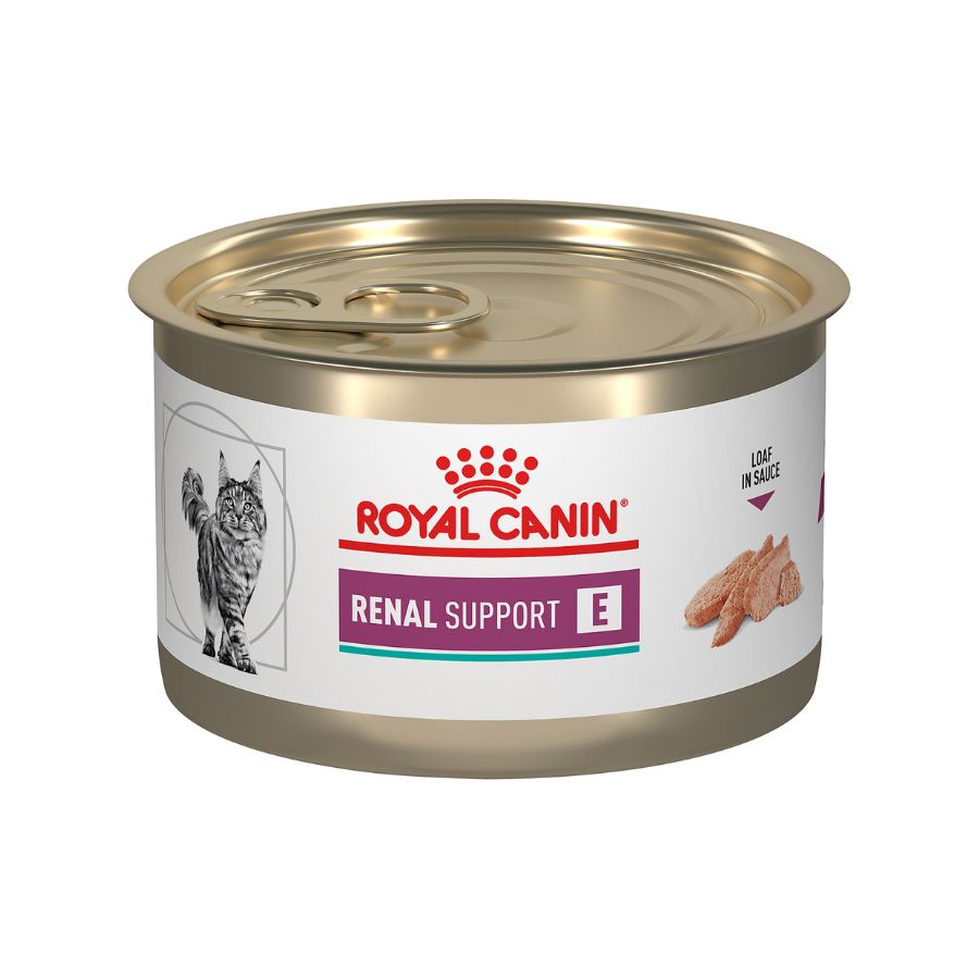 Royal Canin Cat Renal Lata 145gr - PetStop – Tienda Online